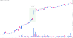 What Is The High Tight Flag Chart Pattern? | | TraderLion