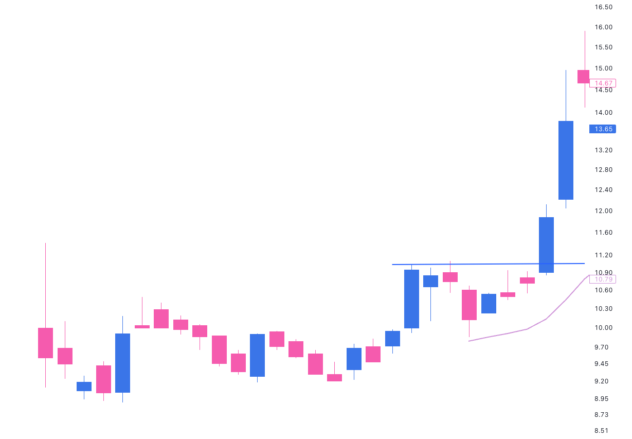 Understanding Pivot Points | TraderLion