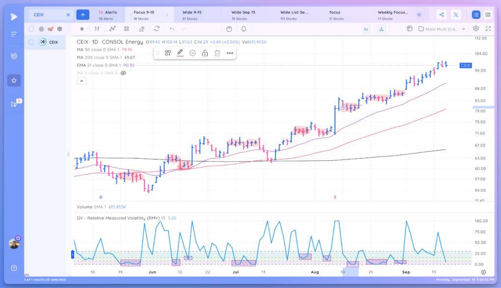 Master Finding VCP Patterns: Identify Tight Areas Quickly | TraderLion