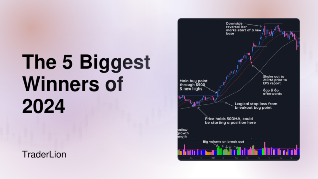 Analyzing 2024’s Five Biggest Winners - TraderLion