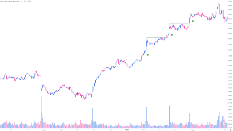 Pradeep Bonde: 5 Swing Trading Strategies Using Episodic Pivots To ...